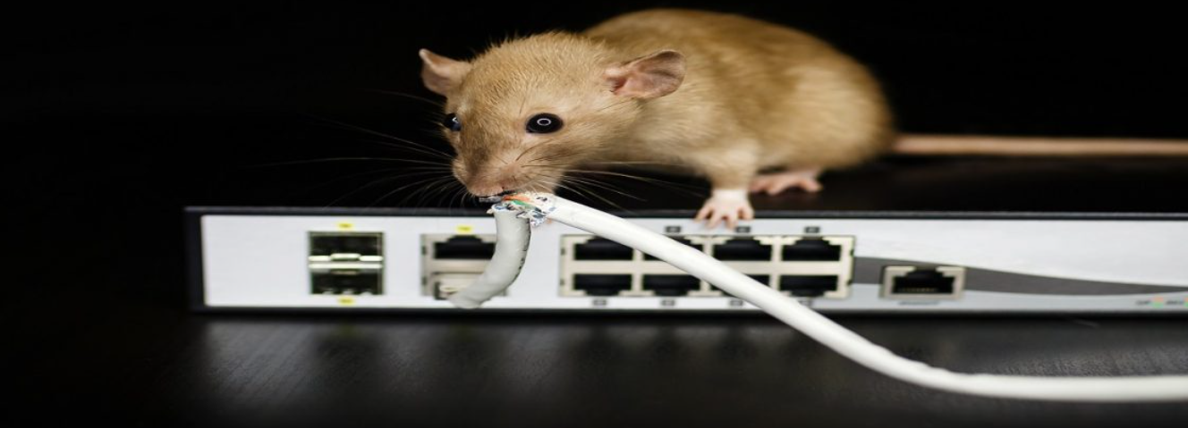 Additive Masterbatch Plast Anti Rodent - Bajaj